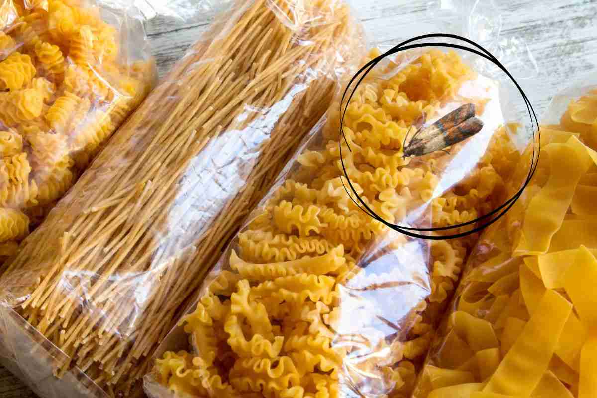 Farfalle della pasta, come debellarle una volta per tutte: lo spiega l ...