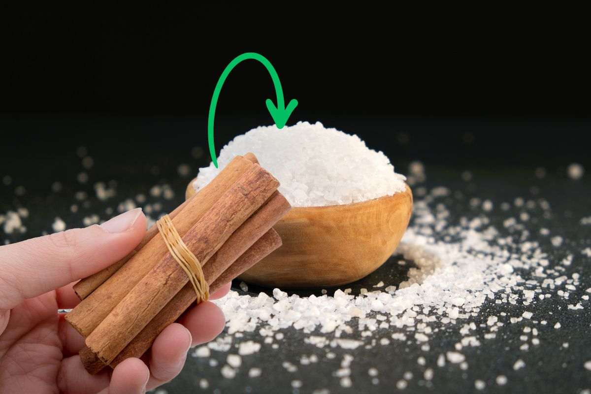 Ho messo 4 bastoncini di cannella sotto sale: quello che è successo a ...
